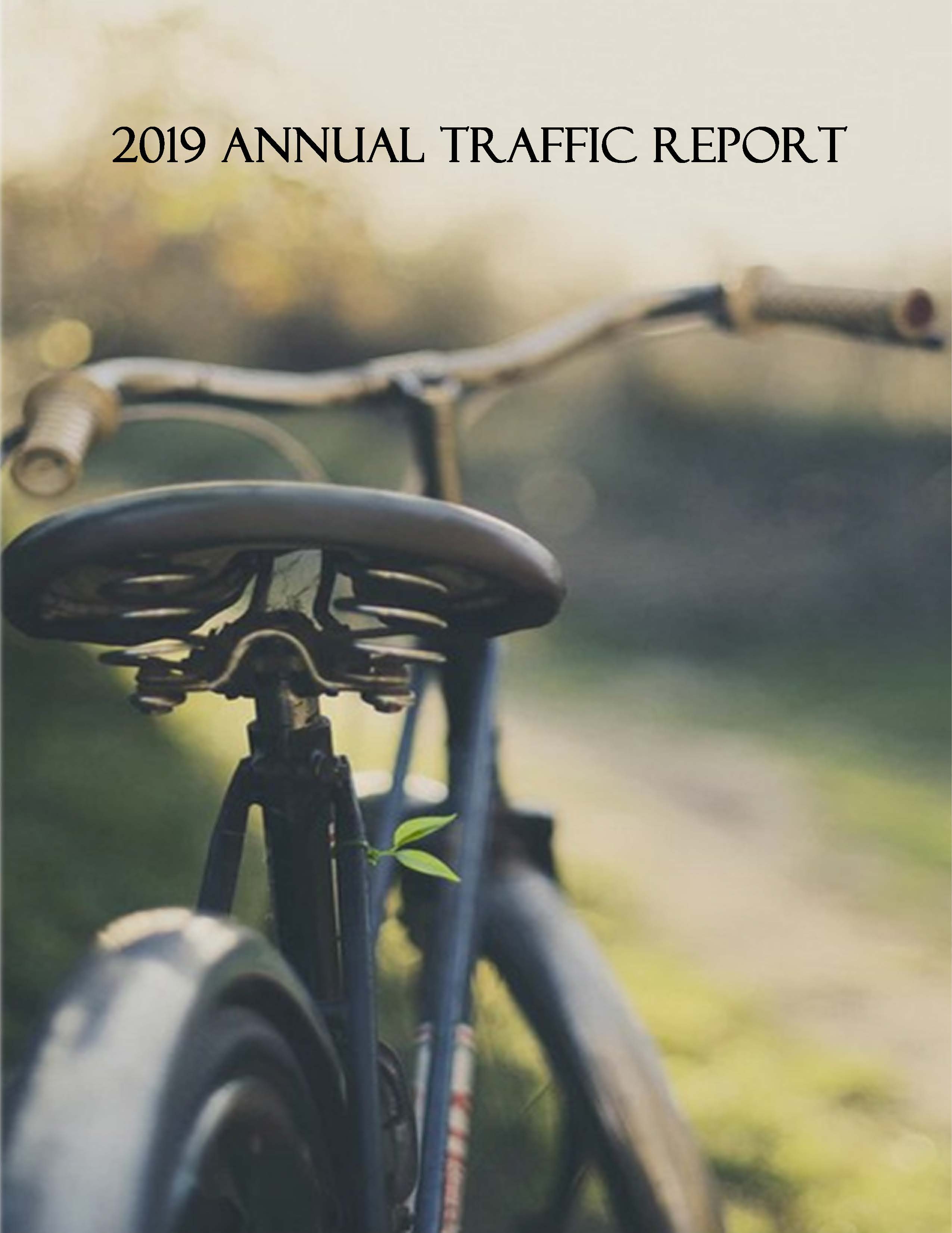 Traffic Annual Traffic Report